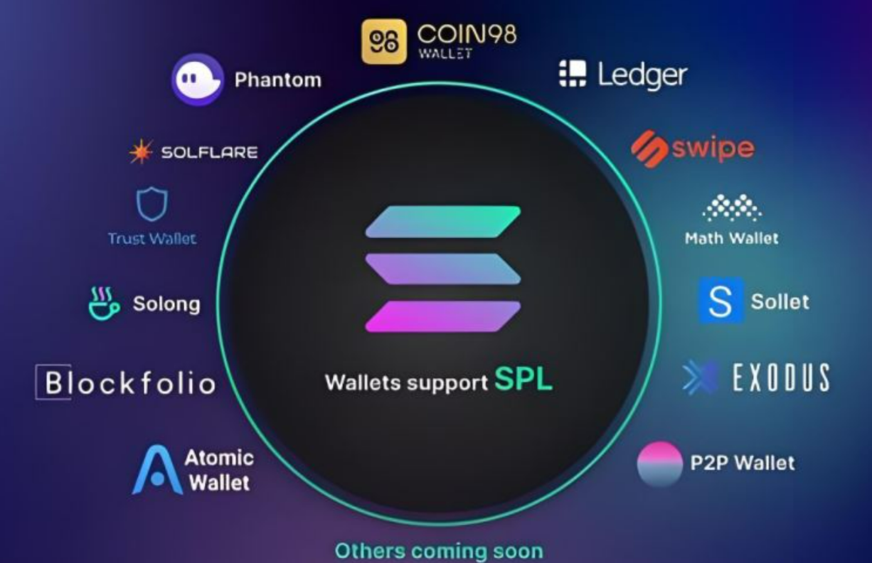Best Solana Wallets in 2025: Top Picks for Secure SOL Management_Blockchain knowledge_GTokenTool
