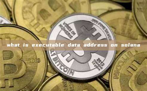 what is executable data address on solana_Blockchain knowledge_GTokenTool