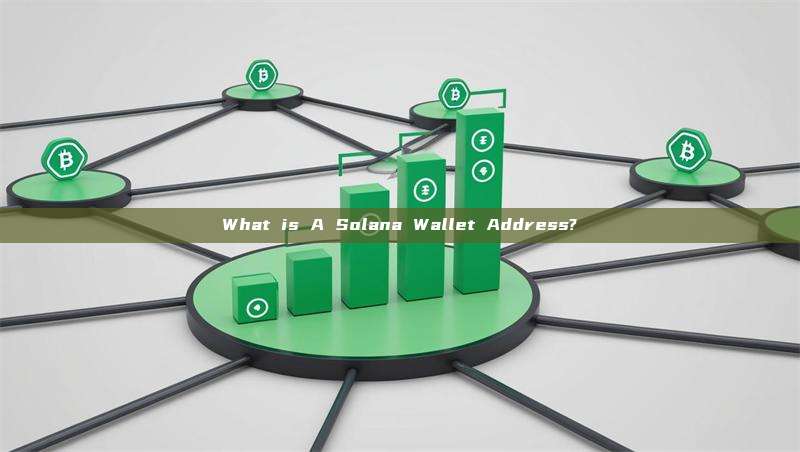 What is A Solana Wallet Address?_Blockchain knowledge_GTokenTool
