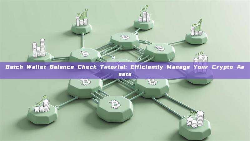 Batch Wallet Balance Check Tutorial: Efficiently Manage Your Crypto ...